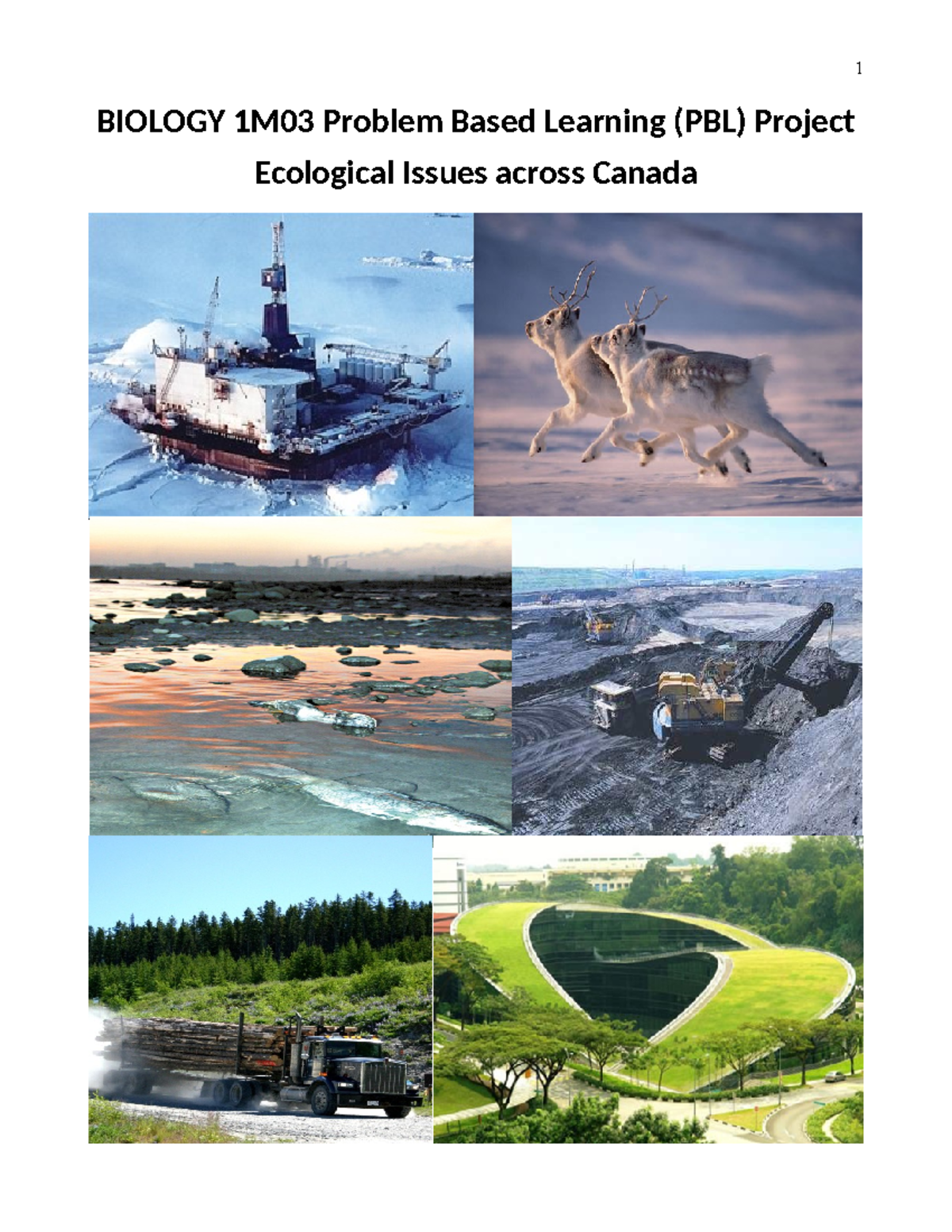 1 BIOLOGY 1M03 PBL Project: Addressing Ecological Issues in Canada ...