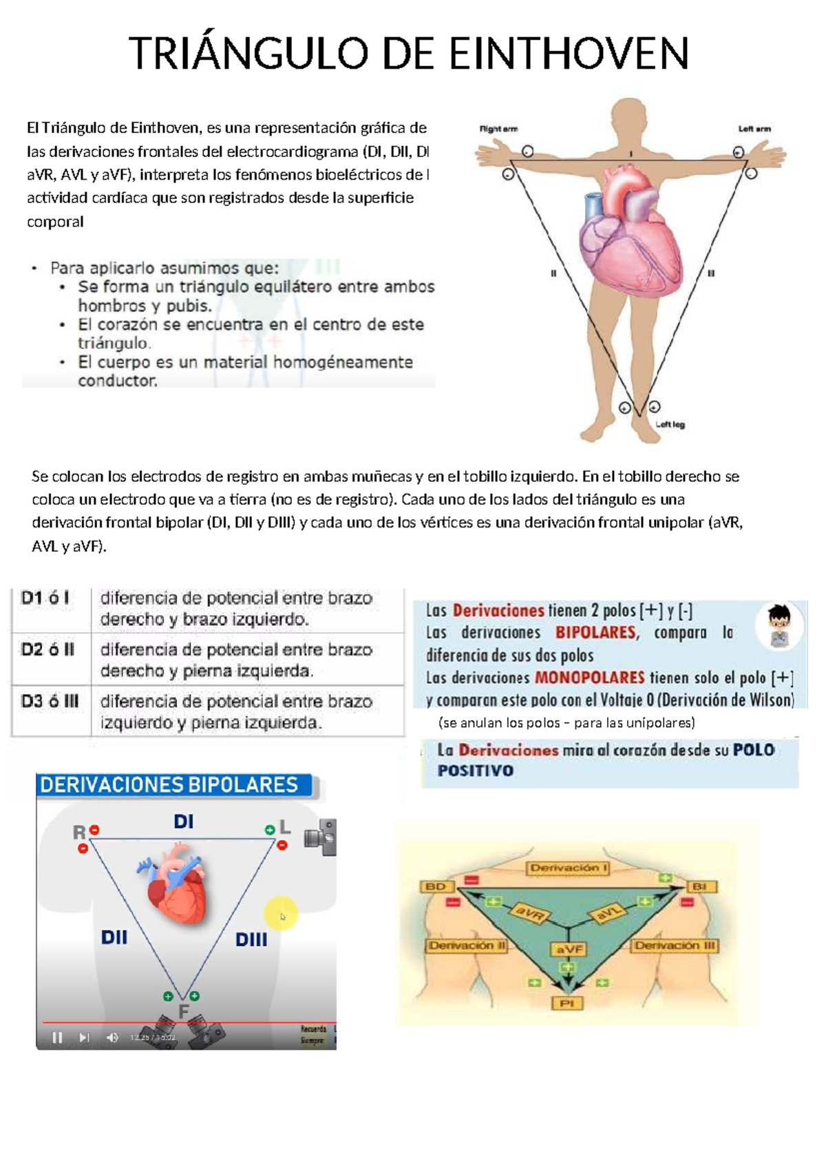 TRIÁNGULO DE EINTHOVEN: Apuntes sobre Derivaciones ECG - Studocu