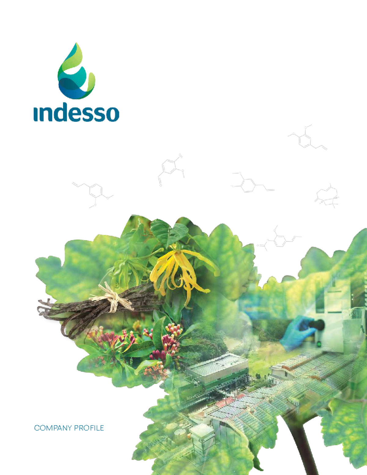 Indesso Company Profile - Mission, Values & Growth Overview - Studocu