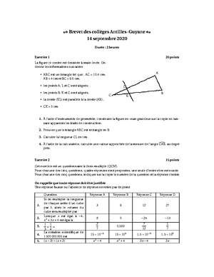 Enoncé coupé et ancré - Préparation pour le brevet - Les Amis de la ...
