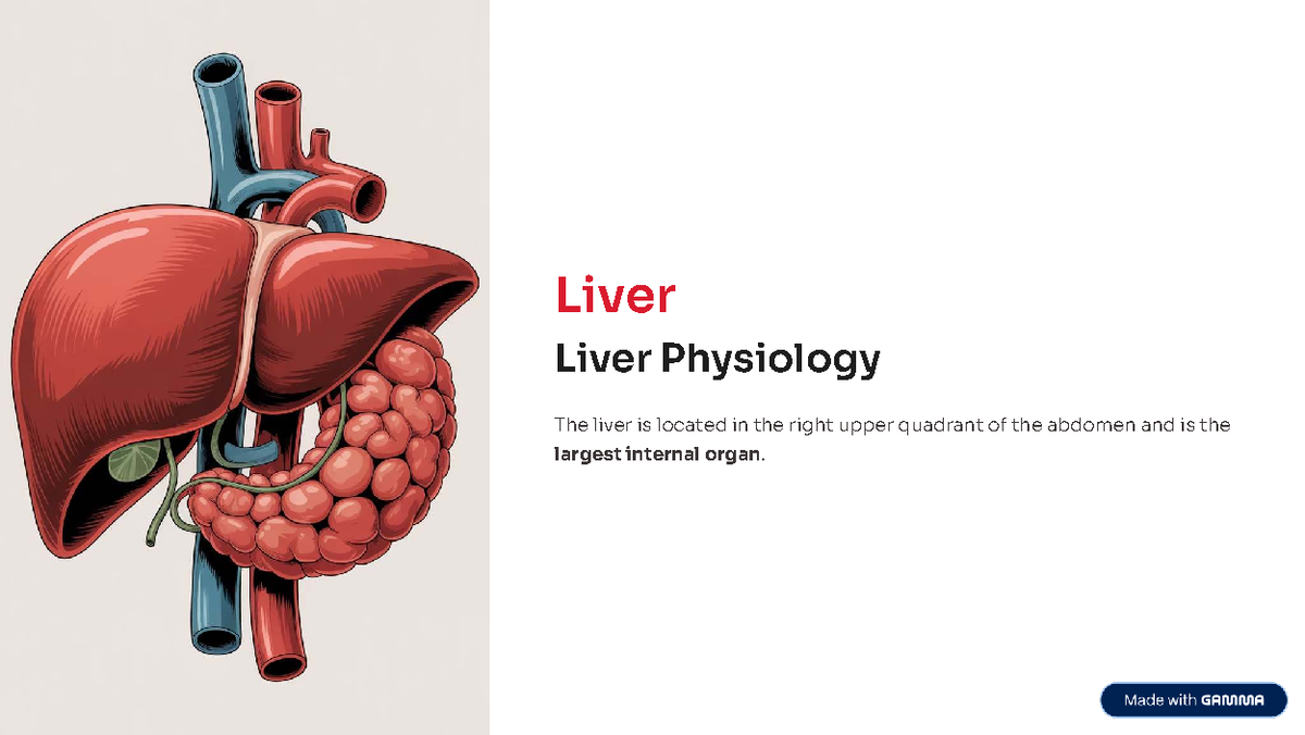 Liver Physiology and Function: Key Concepts and Tests (BIO101) - Studocu