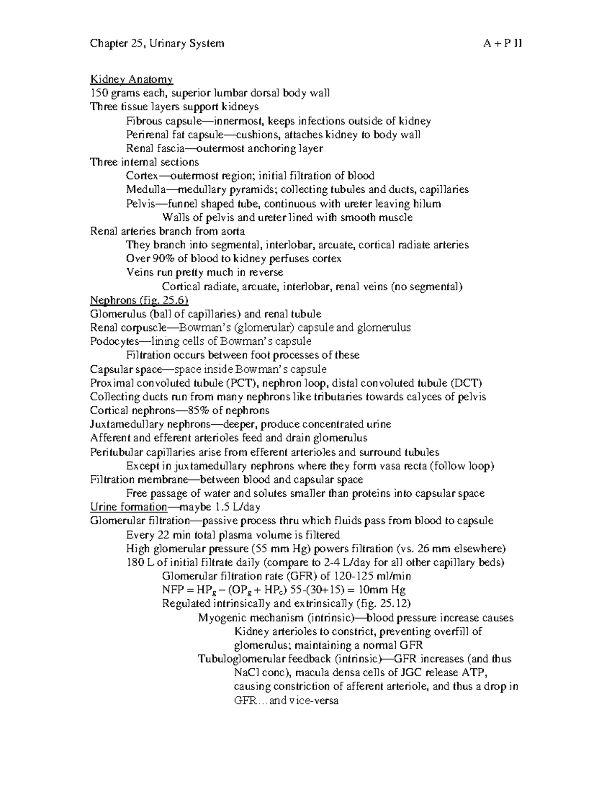 Urinary System Anatomy And Function Studocu