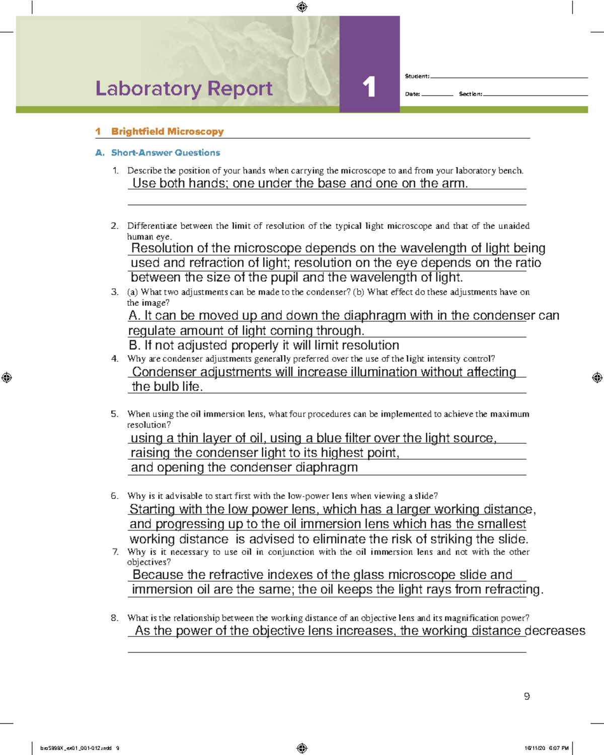 Lab 1: Brightfield Microscopy Report - Ex 01 Analysis and Findings ...