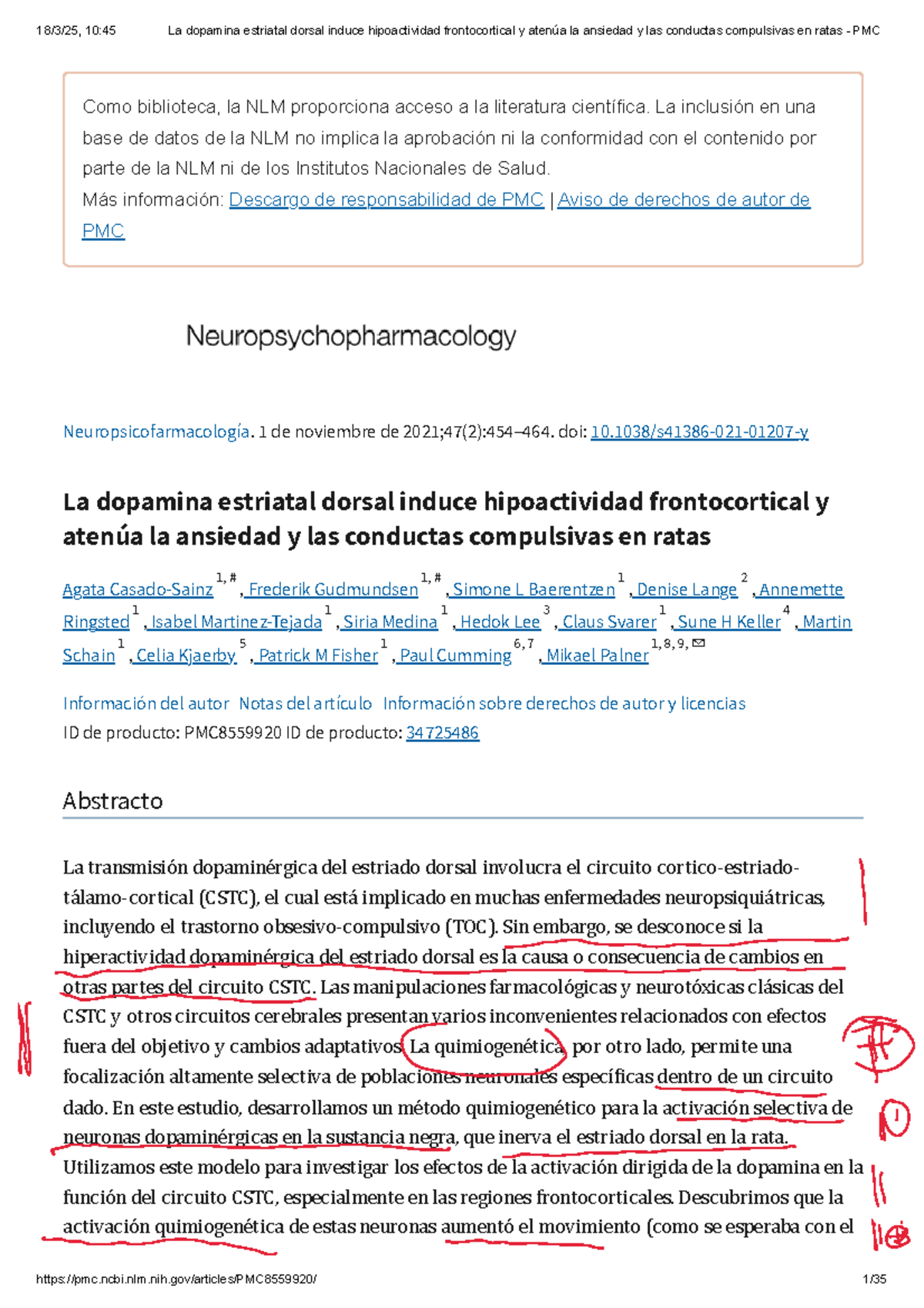 La dopamina estriatal dorsal y su efecto en la ansiedad y conducta ...