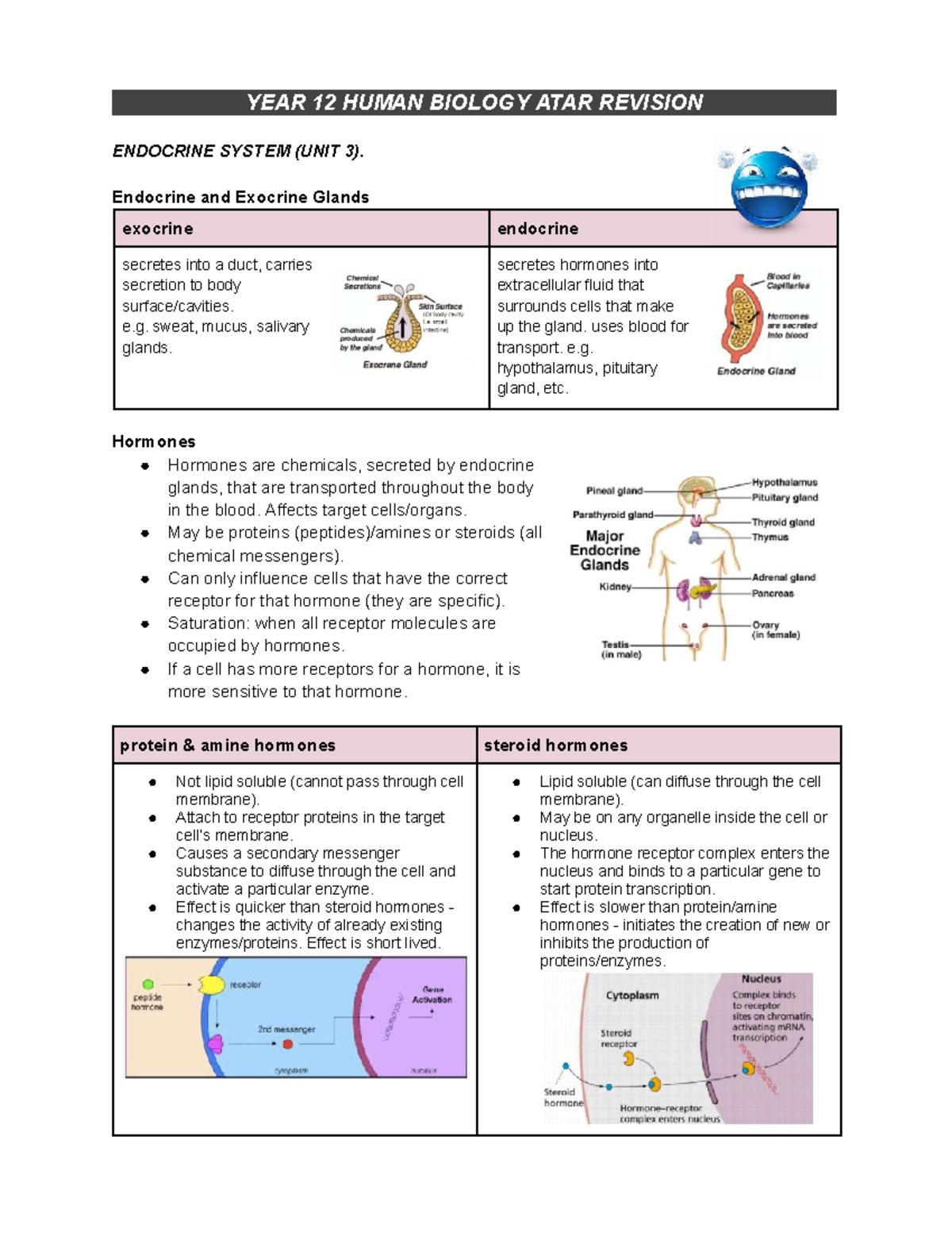 YEAR 12 HUMAN BIOLOGY ATAR ENDOCRINE SYSTEM REVISION NOTES - Studocu