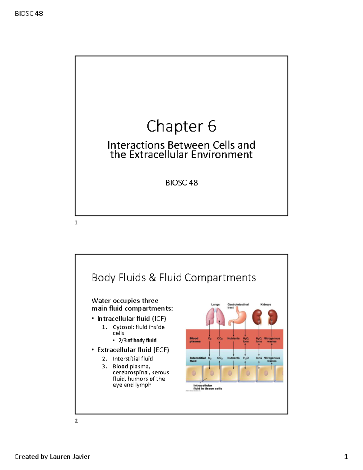 BIOSC 48 Chapter 6: Membrane Transport & Cell Communication Notes - Studocu