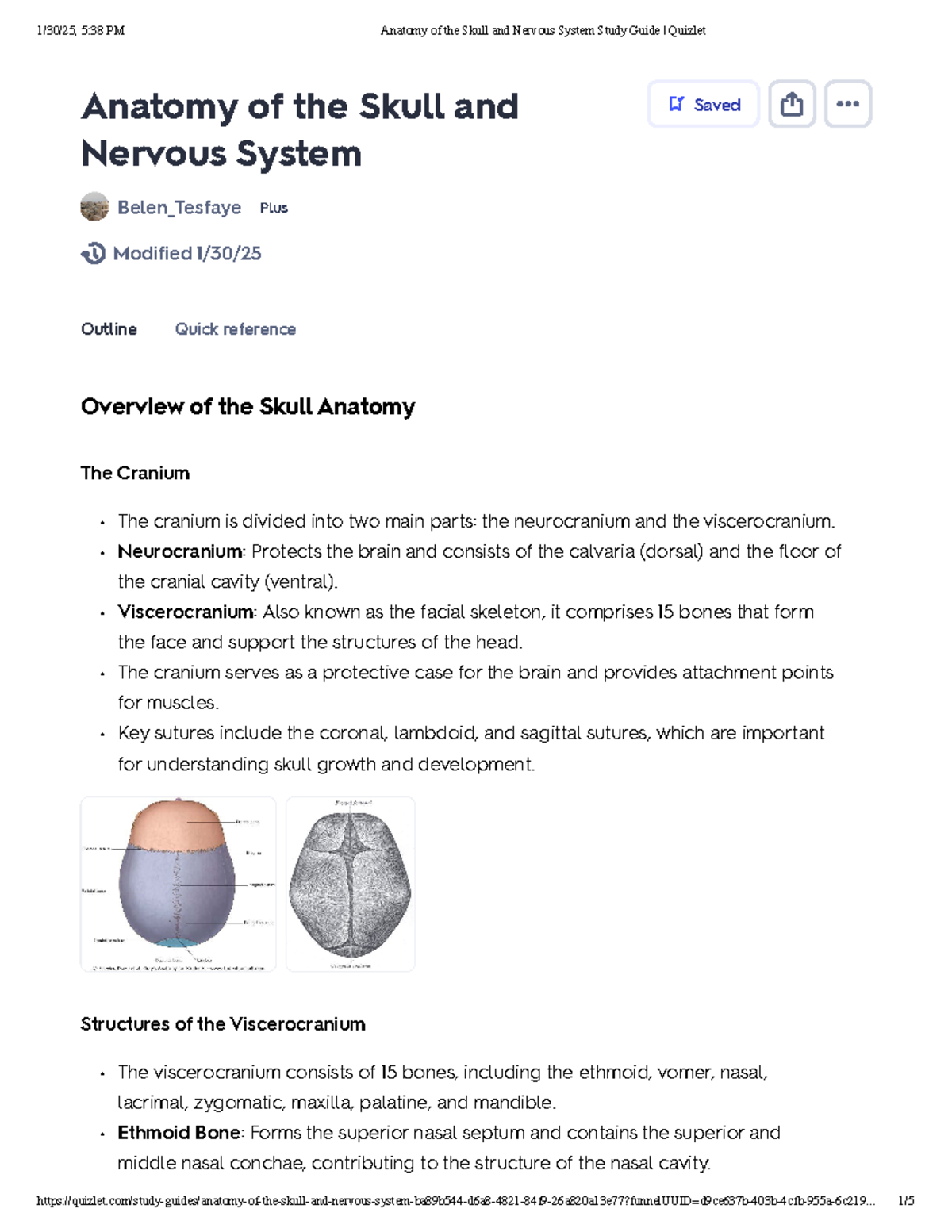 Anatomy of the Skull and Nervous System Study Guide (Quizlet) - Anatomy ...