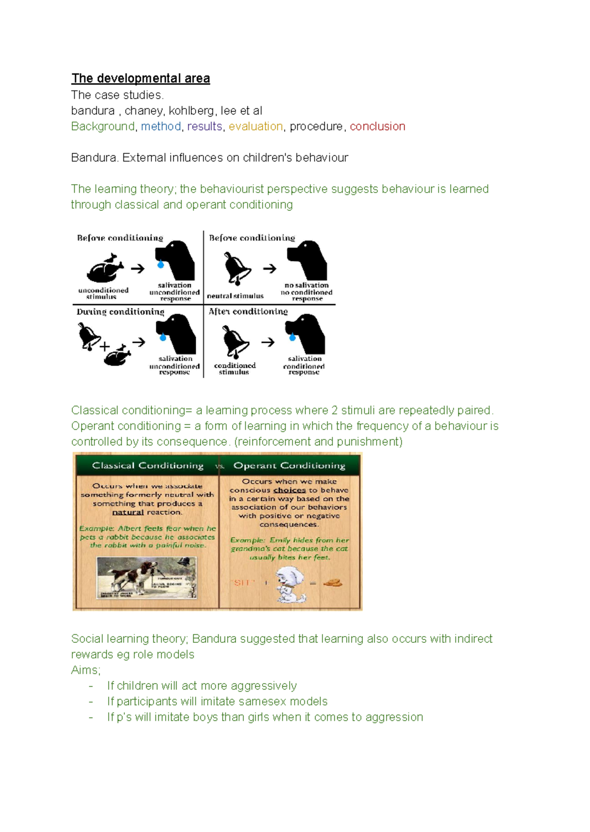 The developmental area case studies - bandura , chaney, kohlberg, lee ...
