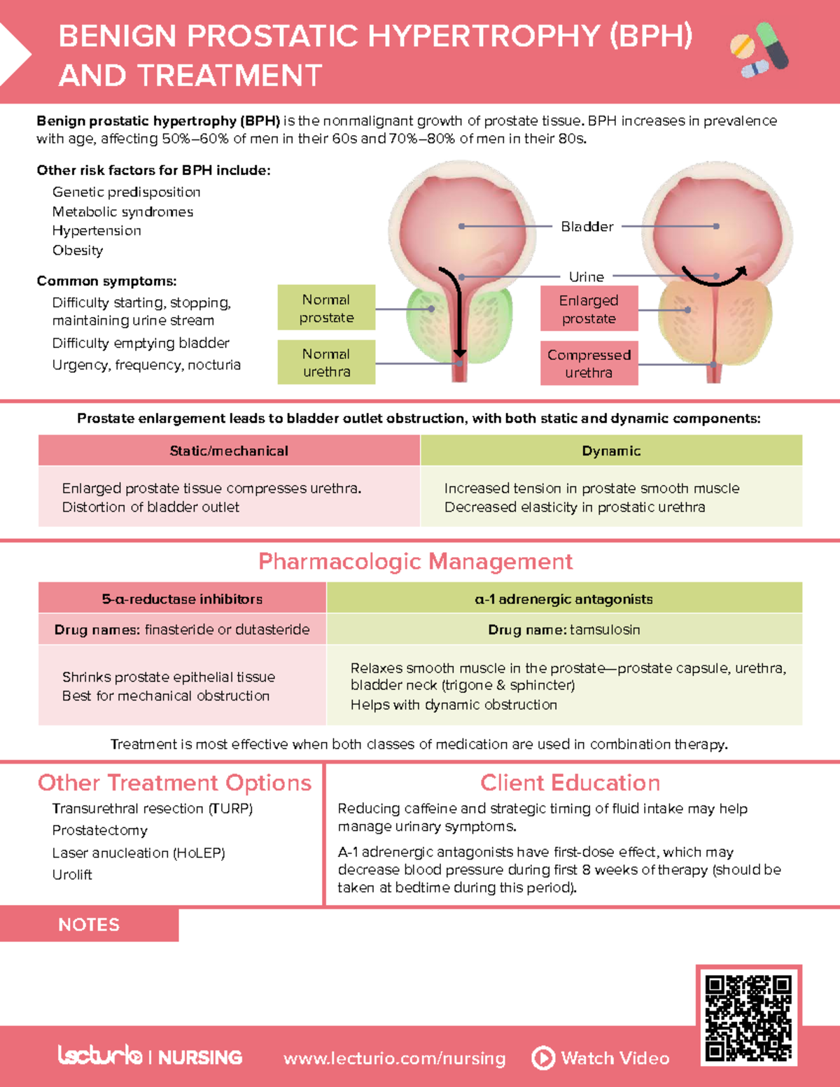 Review Sheet: Benign Prostatic Hypertrophy (BPH) & Treatment Nursing ...