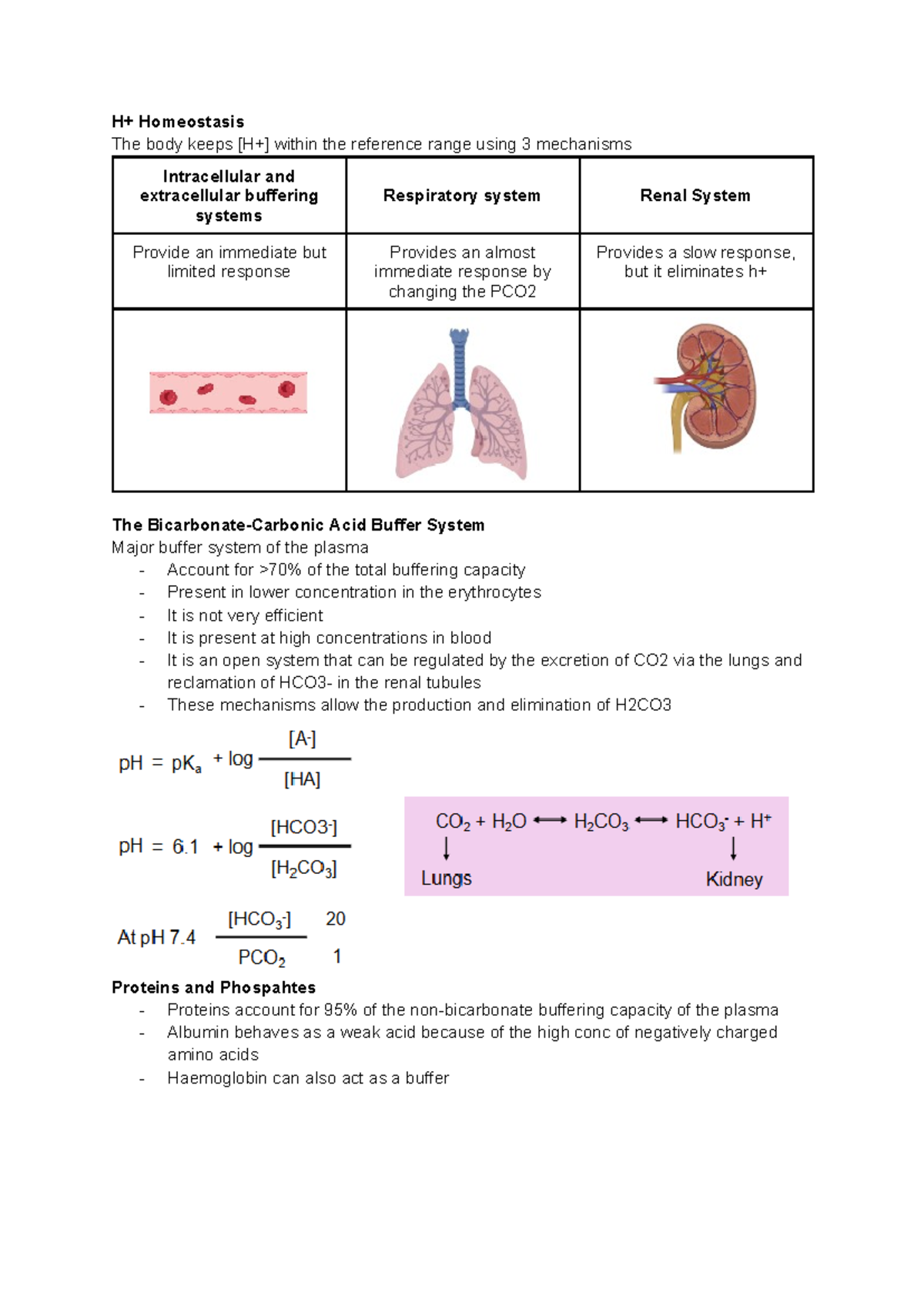 Revision Notes - Clinical Biochemistry (CBIO 101) on Homeostasis ...