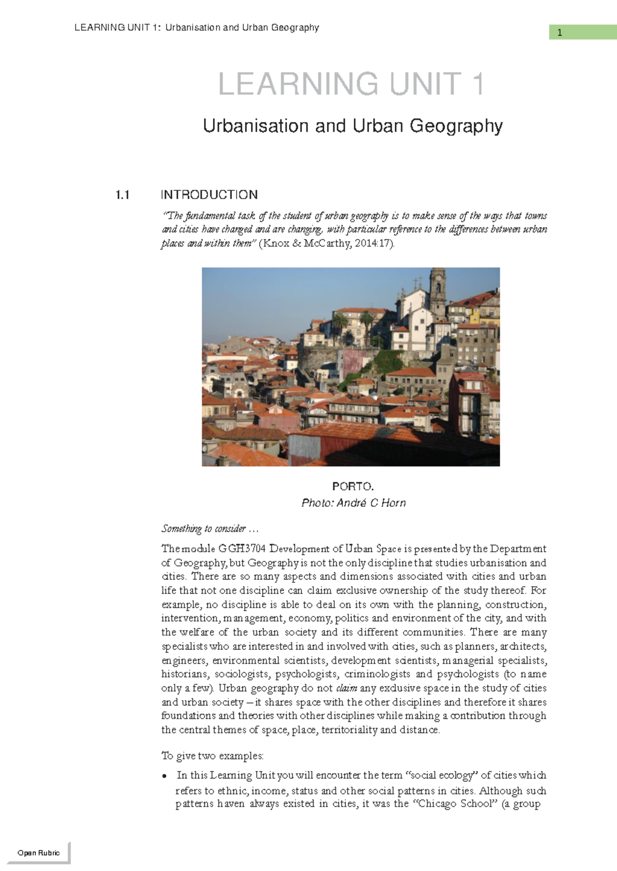 Learning UNIT 1 - Summary - 1 LEARNING UNIT 1 Urbanisation and Urban ...