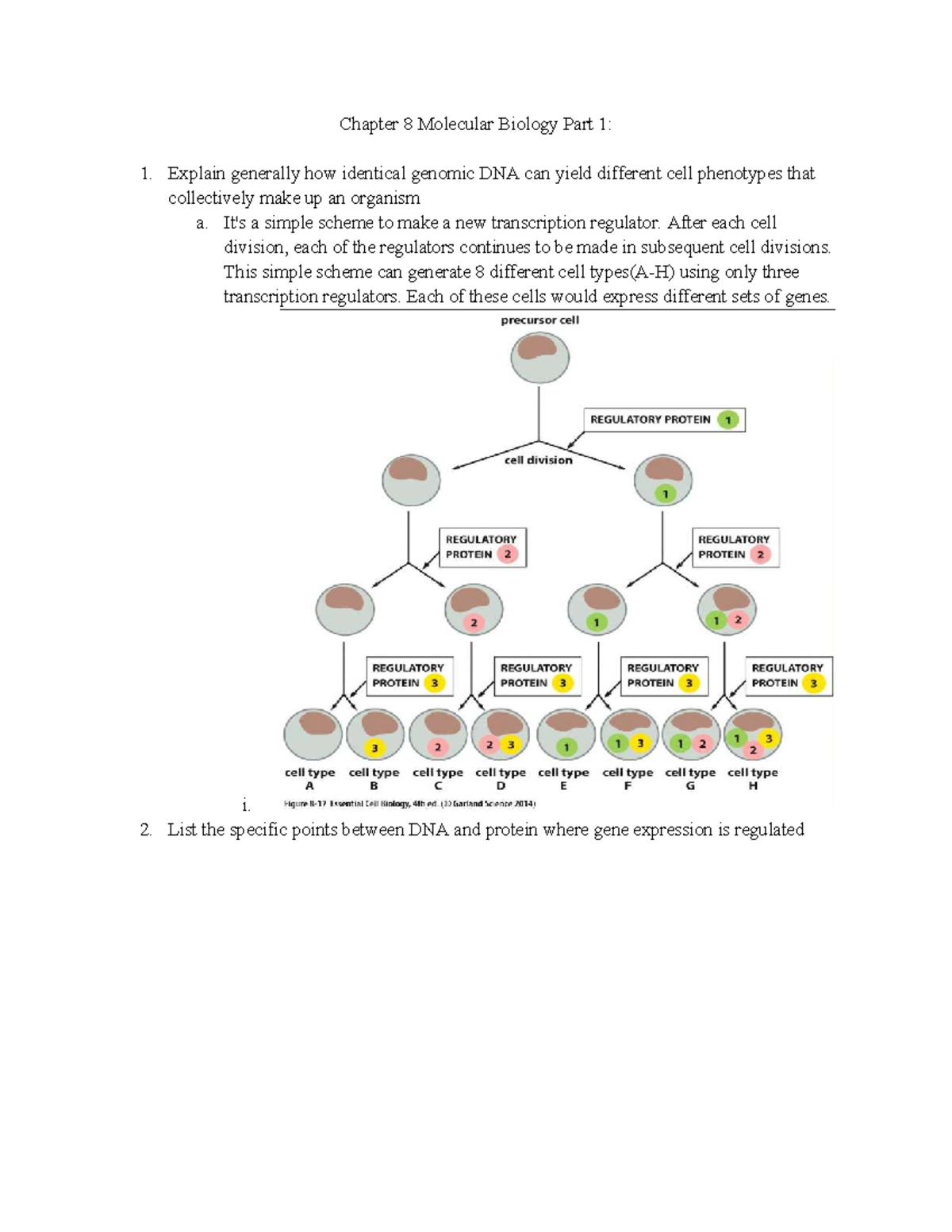 Chapter 8 Molecular Bio part 1 and 2 - Chapter 8 Molecular Biology Part ...