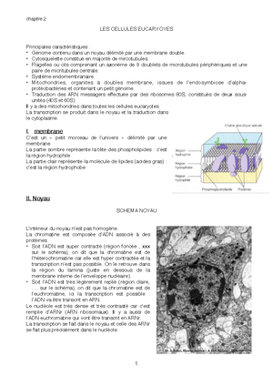 [Solved] Pourquoi diton que les membranes sont des mosaques fluides ...
