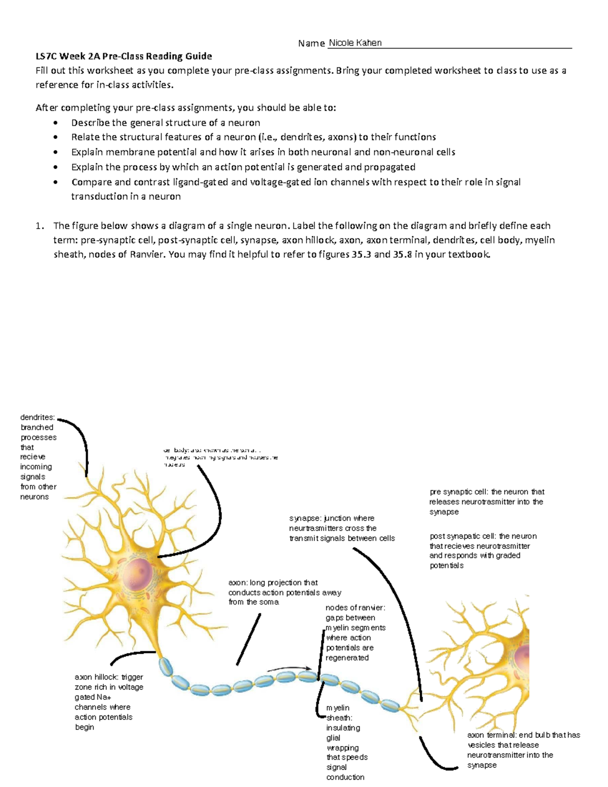 LS7C Week 2A Neuron Structure & Function Reading Guide - Studocu