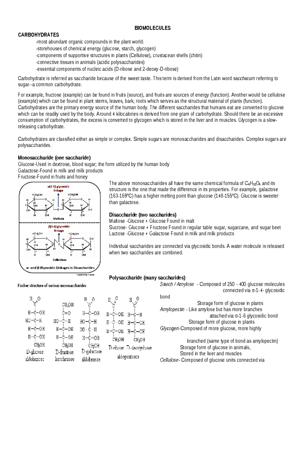 Carbohydrates - Detailed Notes & Key Concepts (Biomolecules) - Studocu