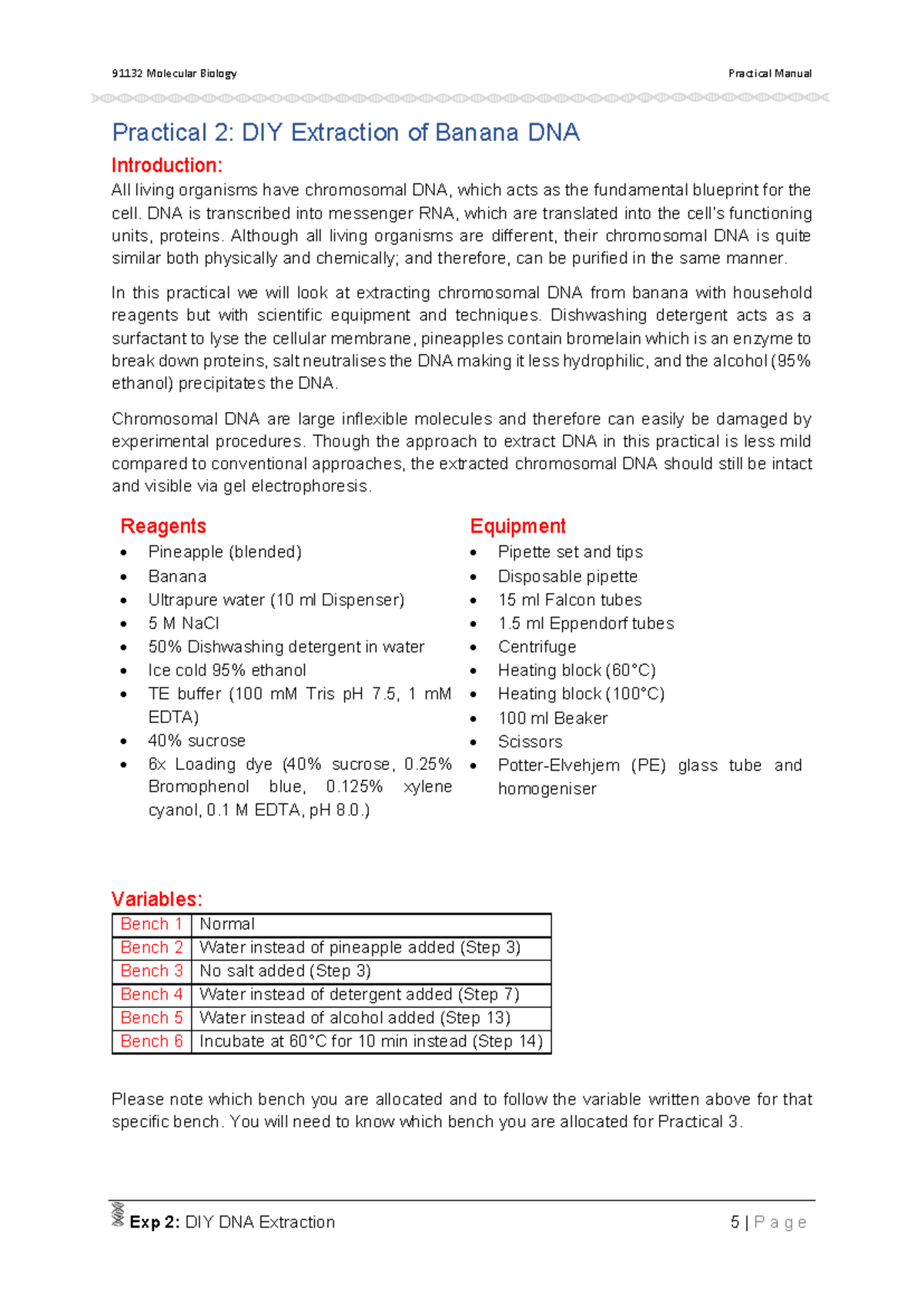91132 Molecular Biology Practical 2: DIY Banana DNA Extraction - Studocu