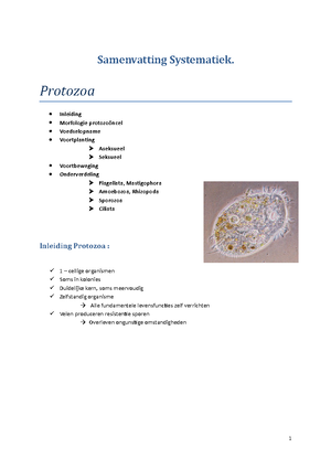 systematiek van het dierenrijk - Systematiek dierenrijk 1. Indeling van ...