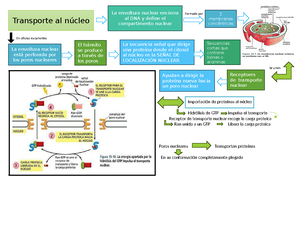 Ictus Hemorragico - ksksd - Capítulo 10 - ACCIDENTES CEREBROVASCULARES ...