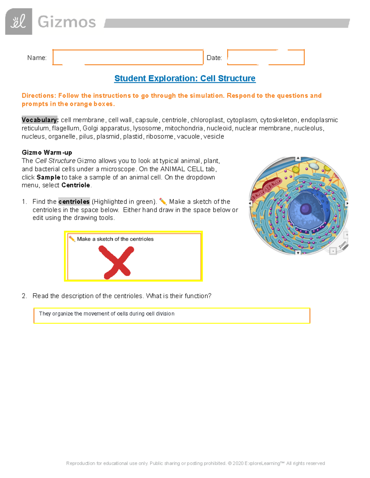 Cell Structure Exploration for Gizmo Simulation in Science Class - Studocu