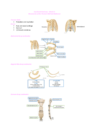 Final eQuiz 2: Human Structure and Function Sample Questions - Studocu