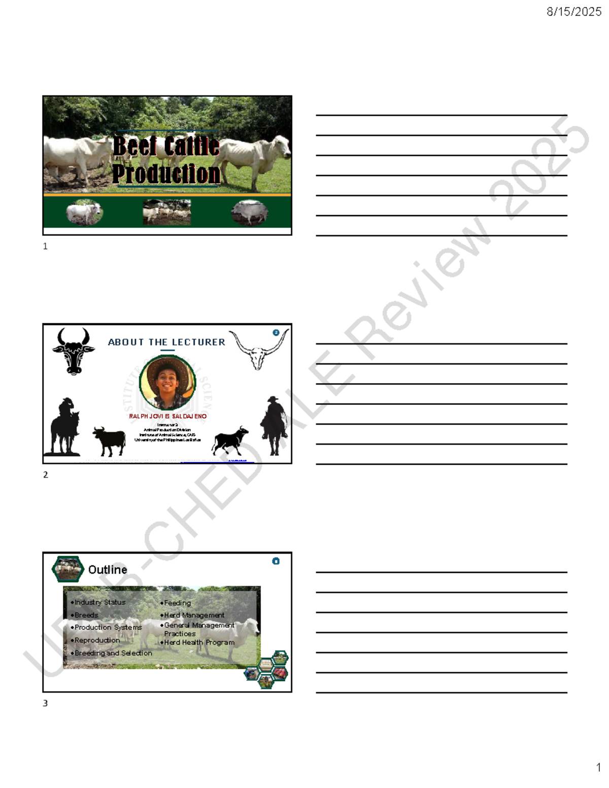 Beef Production Overview: Insights and Trends (015437) - Studocu