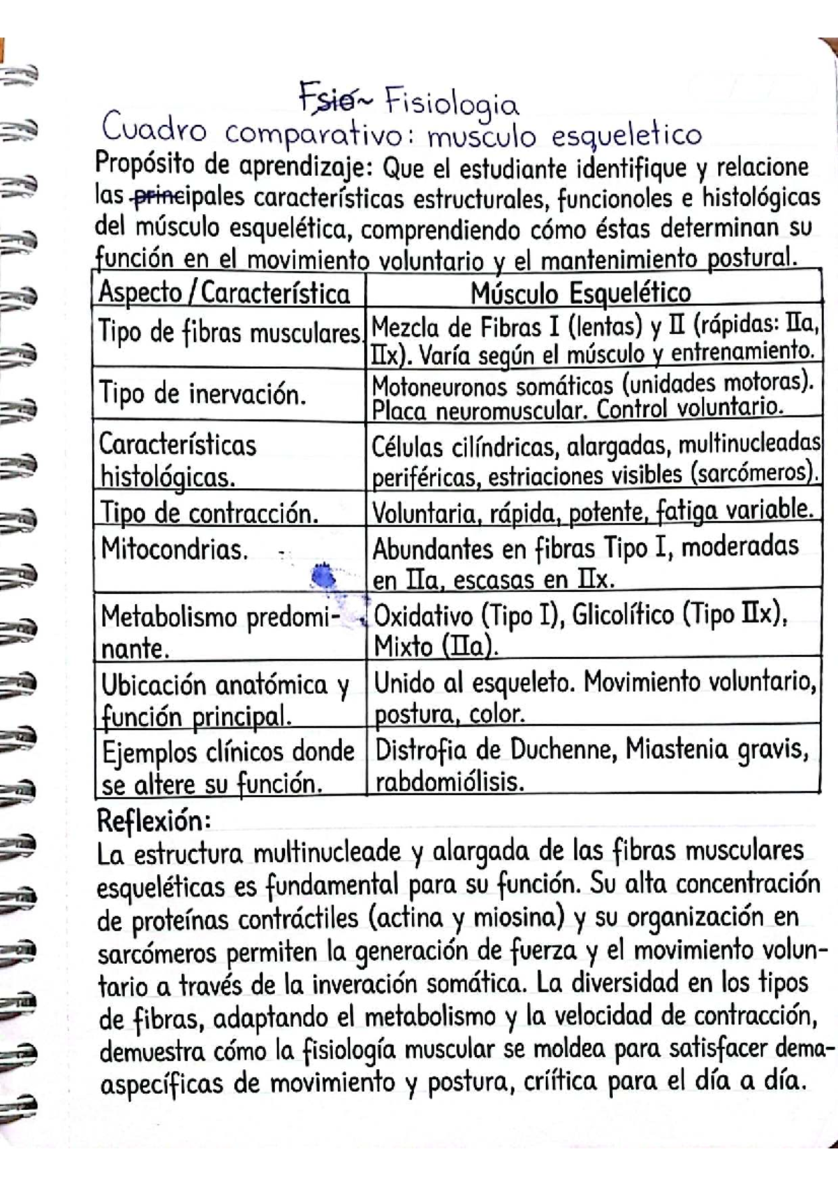Músculo Esquelético: Estructura y Función - WHRWY 2023 - Studocu
