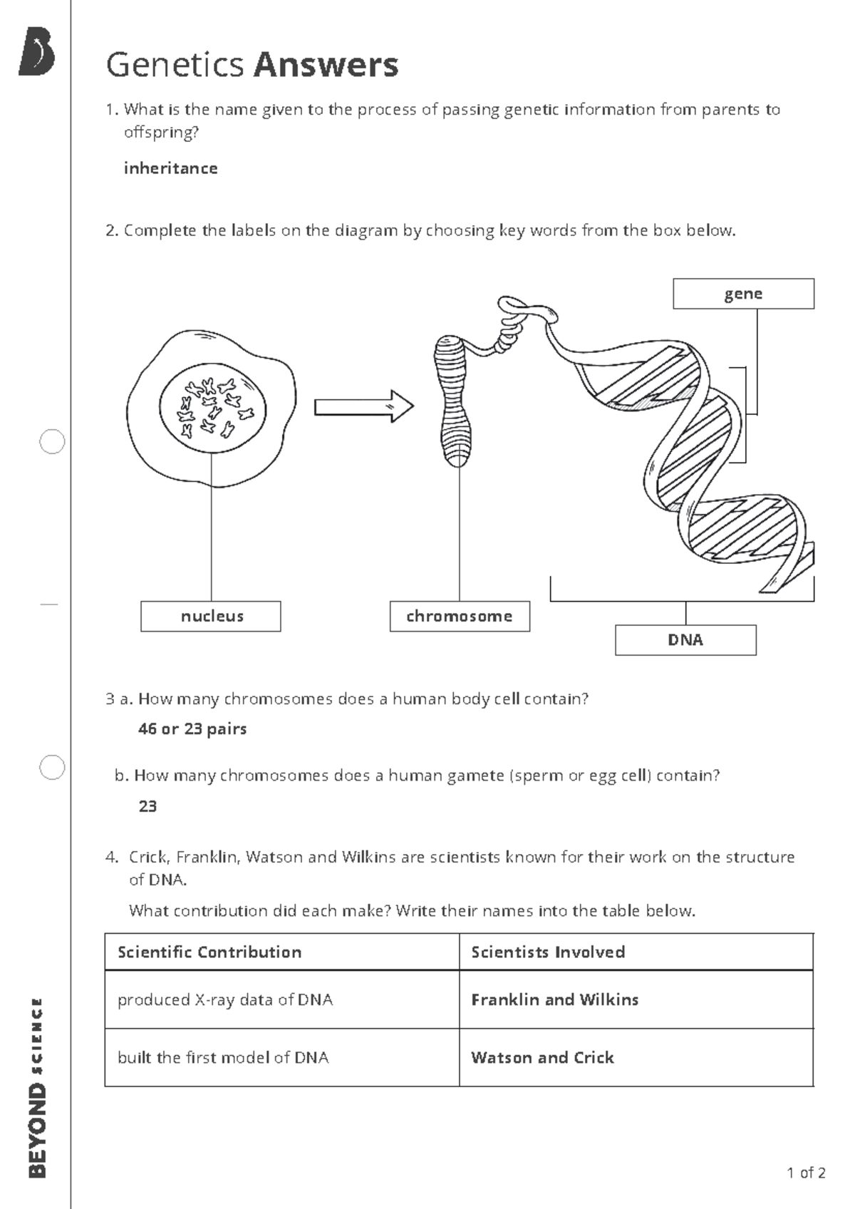 Revision 7 Genetics Answers - Genetics Answers What is the name given ...