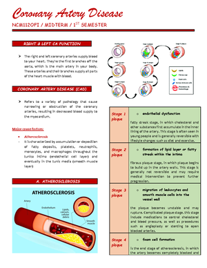 Huntingtons and parkinsons disease - Parkinson’s & Huntington’s Disease ...