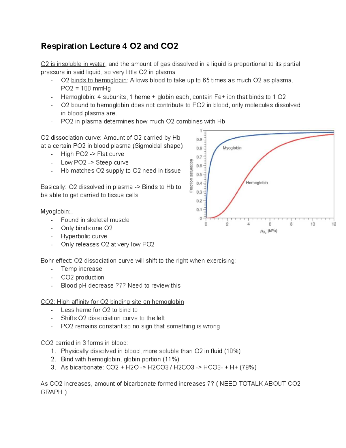 Respiration lecture 4: O2 and CO2 transport mechanisms in blood - Studocu