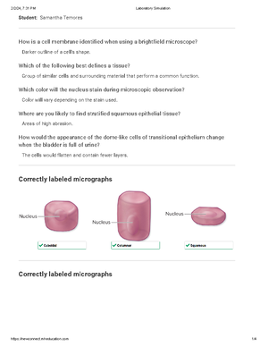 [Solved] explain the viable count technique to measure bacterial ...