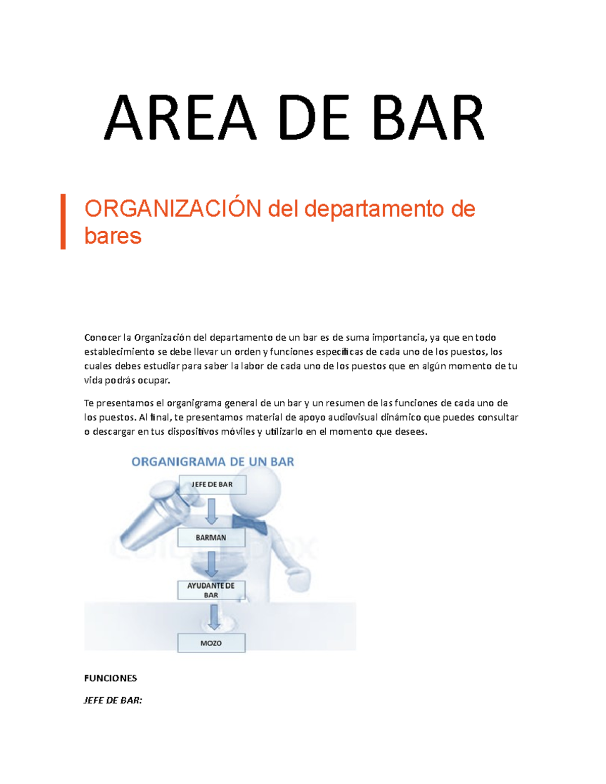 Organización y Funciones del Área de Bar en Establecimientos Turísticos ...