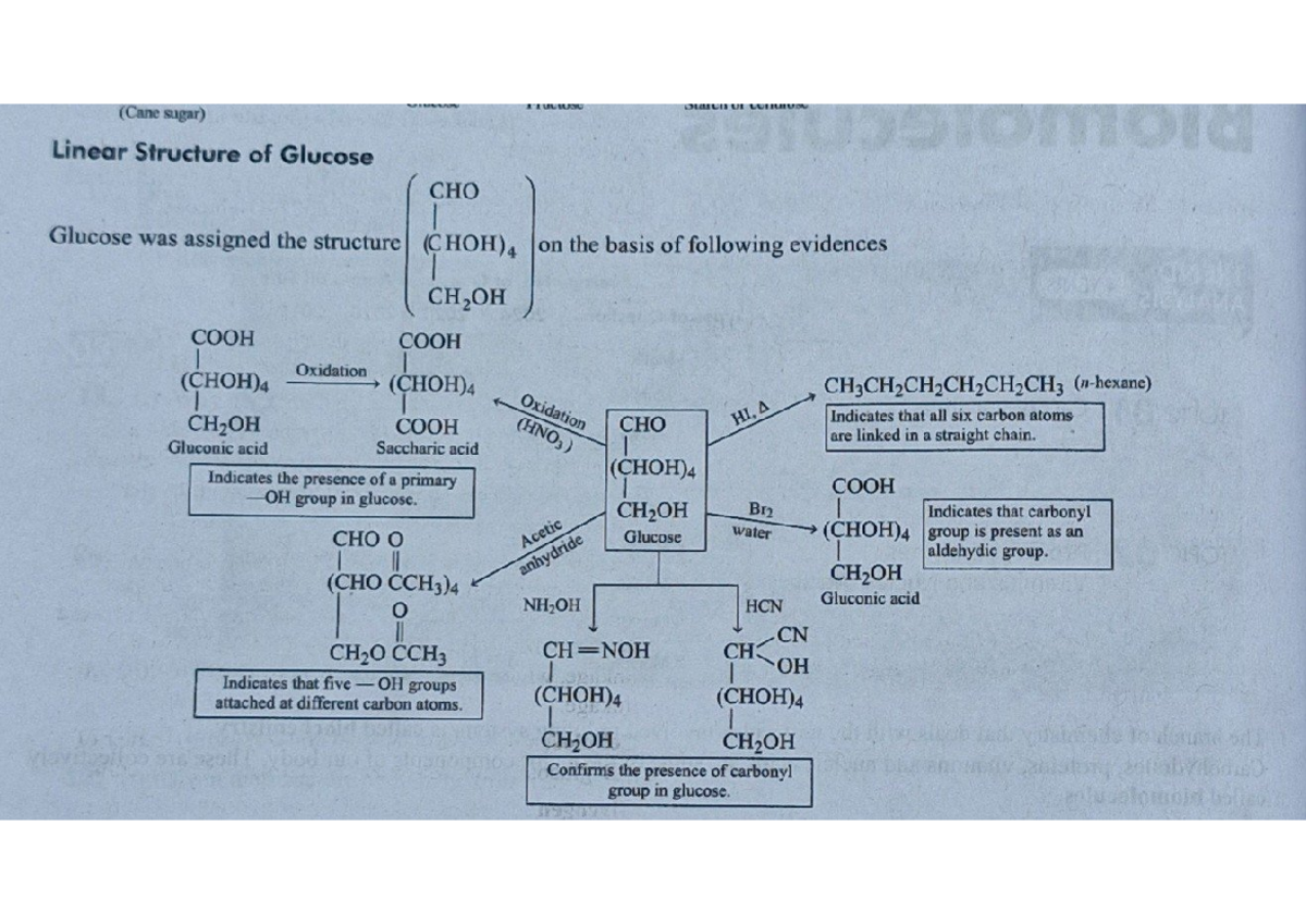 Biomolecules: Structure of Glucose, Vitamins, and Nucleic Acids - Studocu