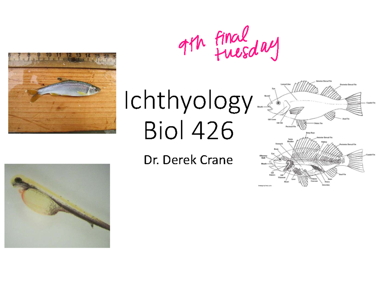 Ichthyology Overview and Key Concepts - BIOL 426 Final Exam Notes - Studocu