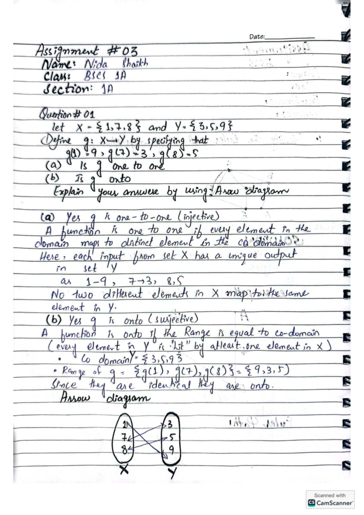BSCS 1A Assignment 03: Analysis of Function g's Injectivity and ...