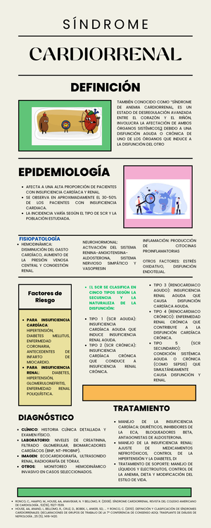 Anatomia y fisiologia renal - RINONES Son órganos retroperitoneales, es ...