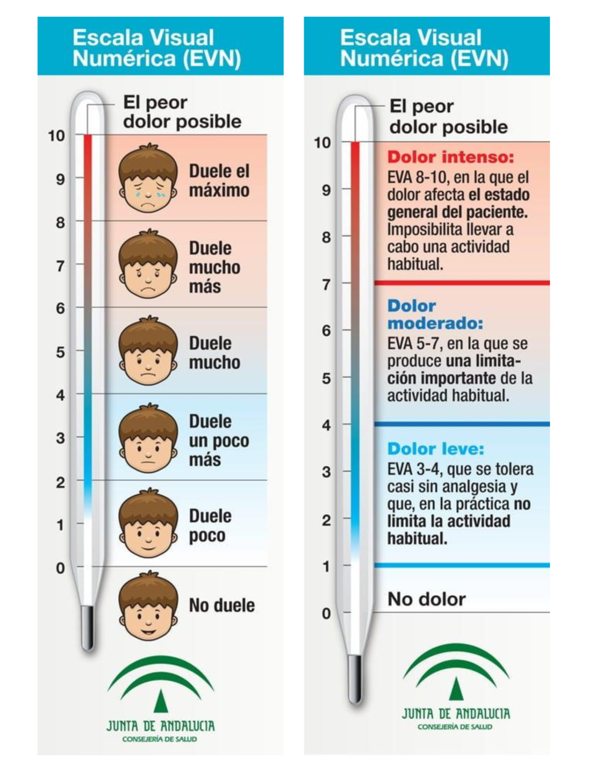 Escala de EVA del Dolor - Escala Visual Escala Visual Numérica (EVN ...