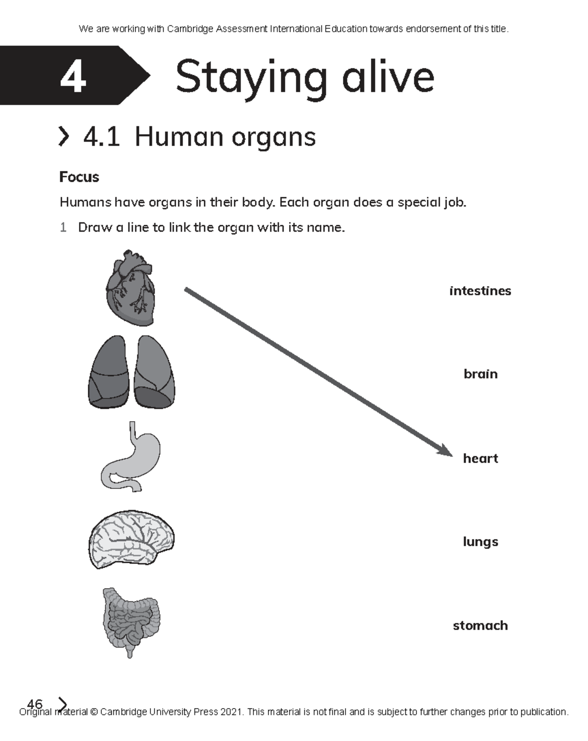 Unit 4 - Science Workbook: Human Organs & Life Cycles Overview - Studocu