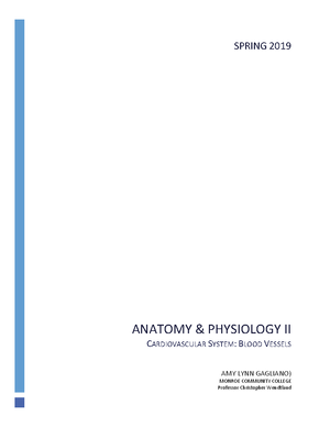 Lab Practical 2 Study Guide Weeks 8-16 Labs 7-14 PDF - SPRING 2019 ...