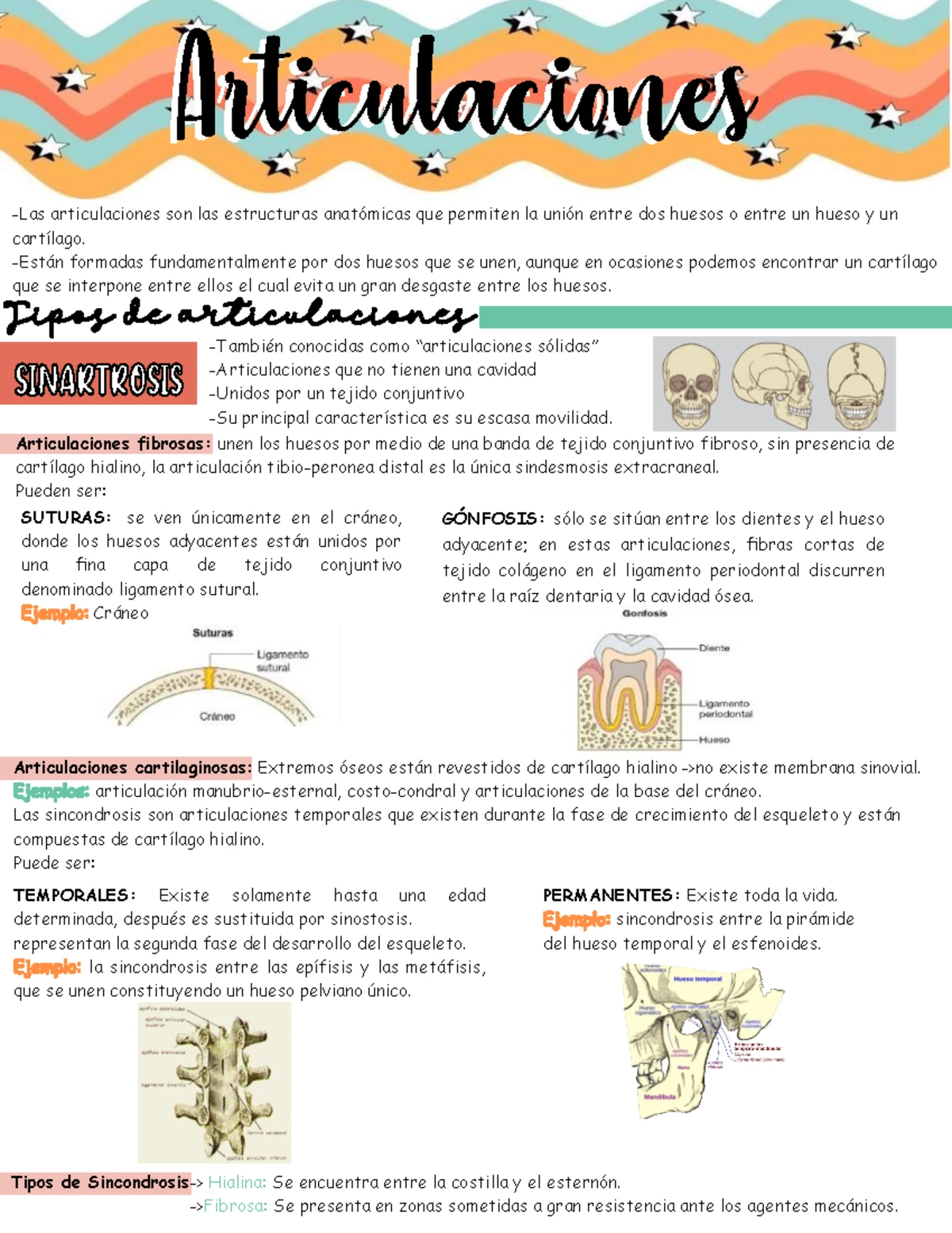 Formulas vertebrales de animales domésticos - Formulas Vertebrales La ...