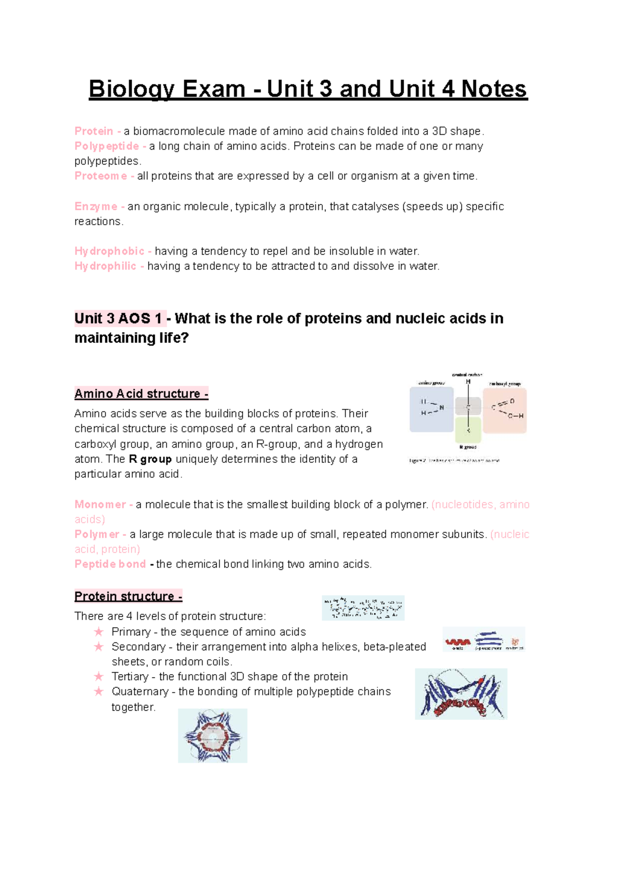 Biology Exam Notes: Units 3 & 4 - Proteins and Nucleic Acids - Studocu