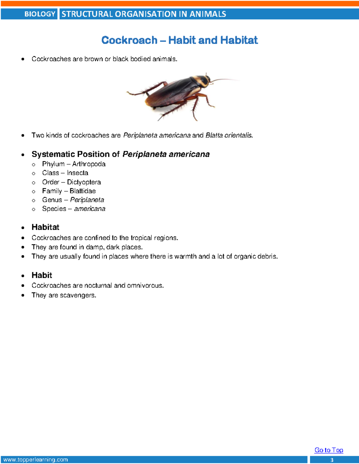 BIO 101 Final Exam Notes: Structural Organization in Cockroaches - Studocu