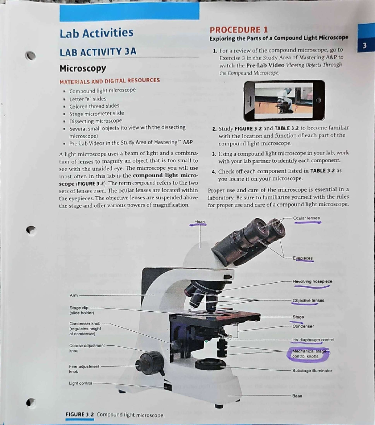 Lab 3 complete - Fill out activity - Lab Activities PROCEDURE 1 ...