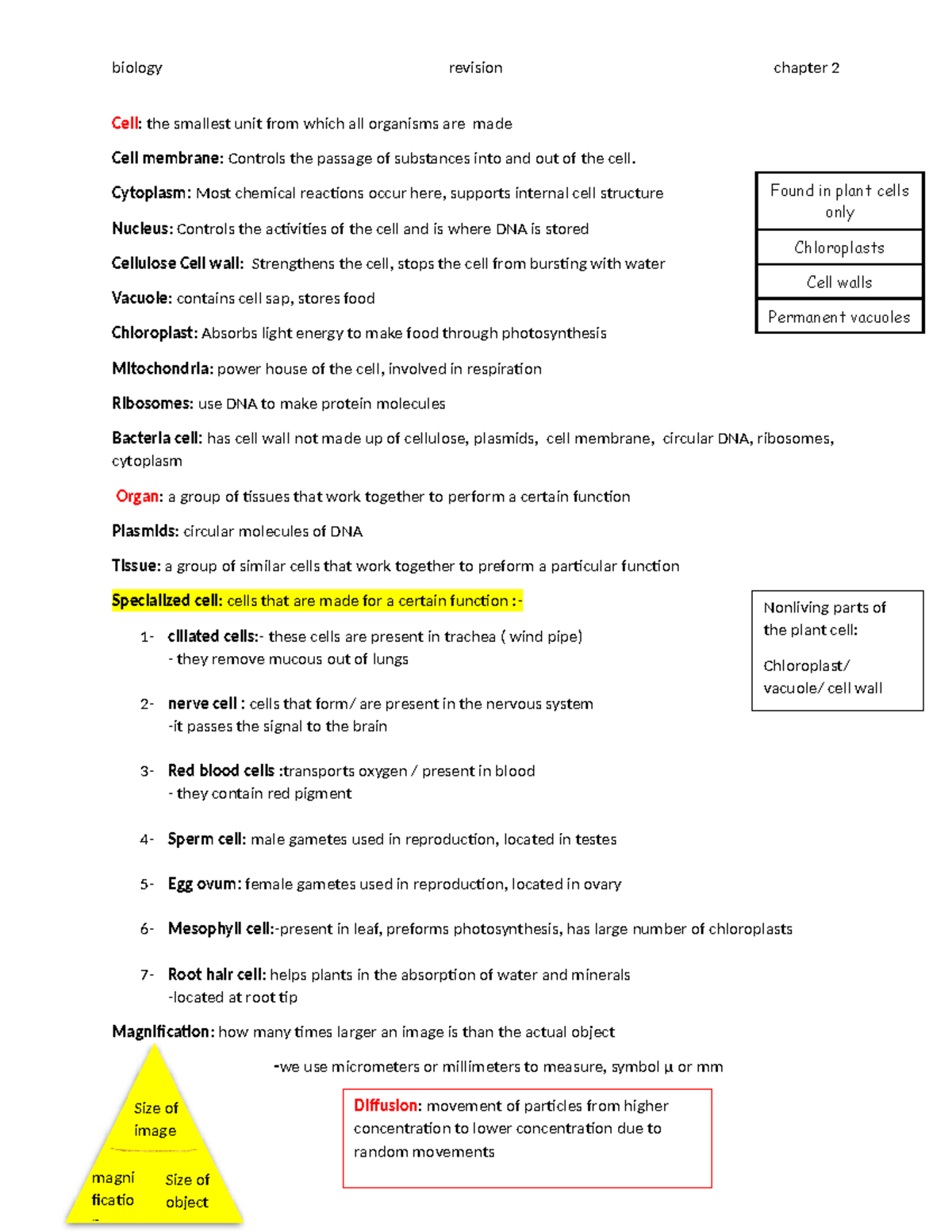 702211067 Biology IGCSE Chapter 2: Cell Structure Summary - Studocu