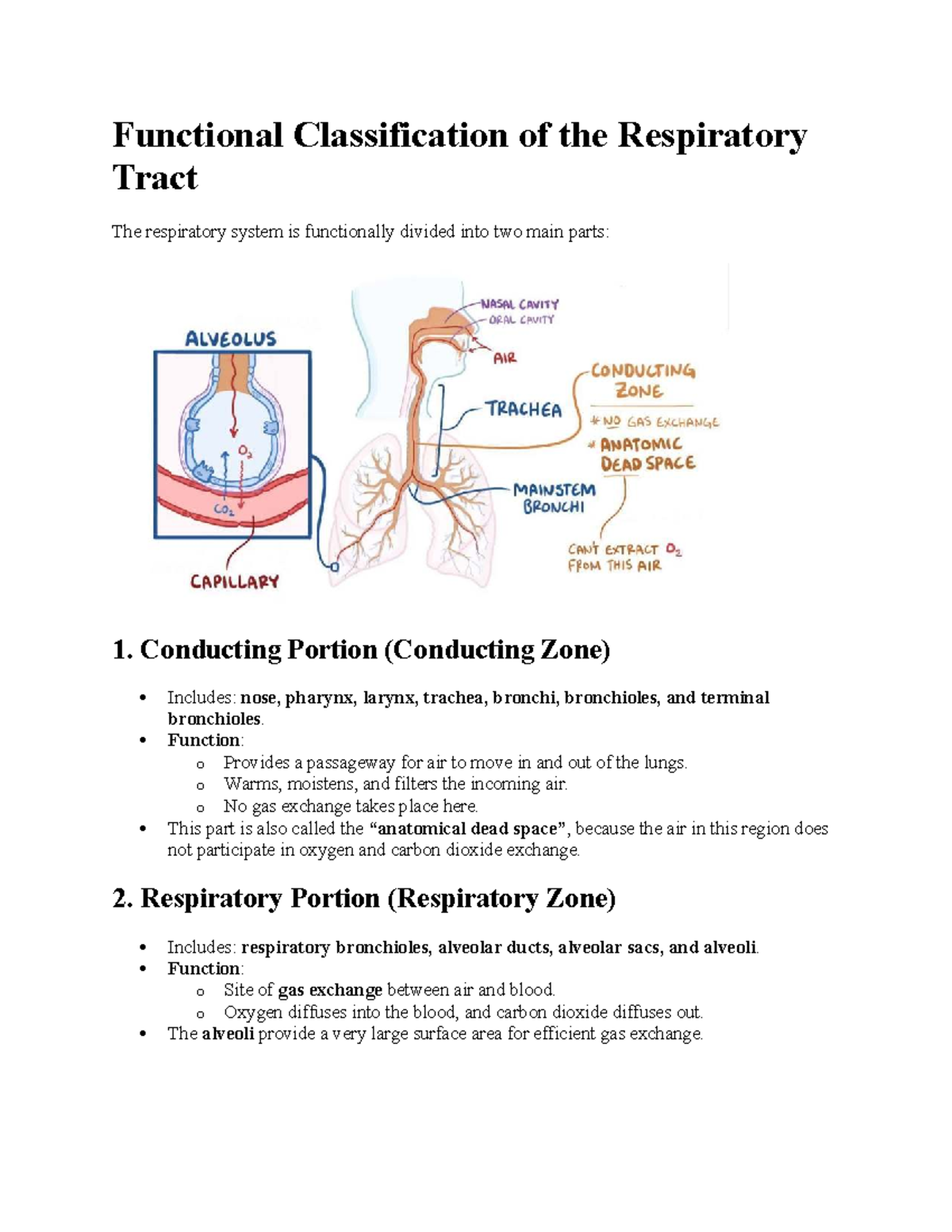 Functional Classification of the Respiratory Tract: Key Concepts and ...