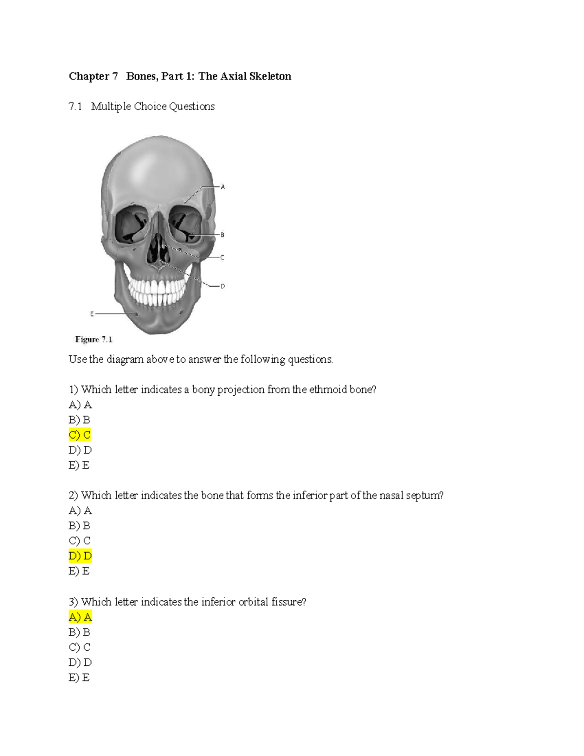 Anatomy 101: Axial Skeleton Study Guide for Exam 1 - Studocu
