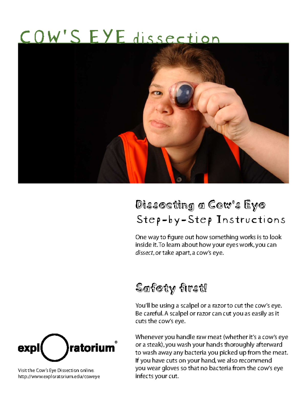 EYE Dissection Instructions for Cow Eye (Course Code: EYE 101) - Studocu