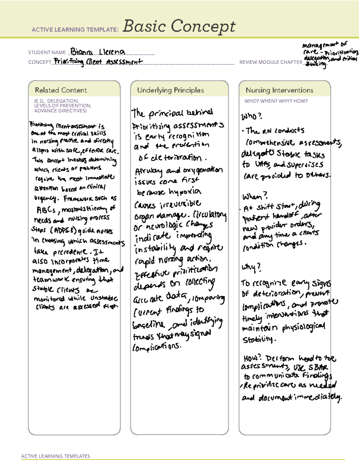 ACTIVE LEARNING TEMPLATE: Prioritization in Nursing Care - Studocu