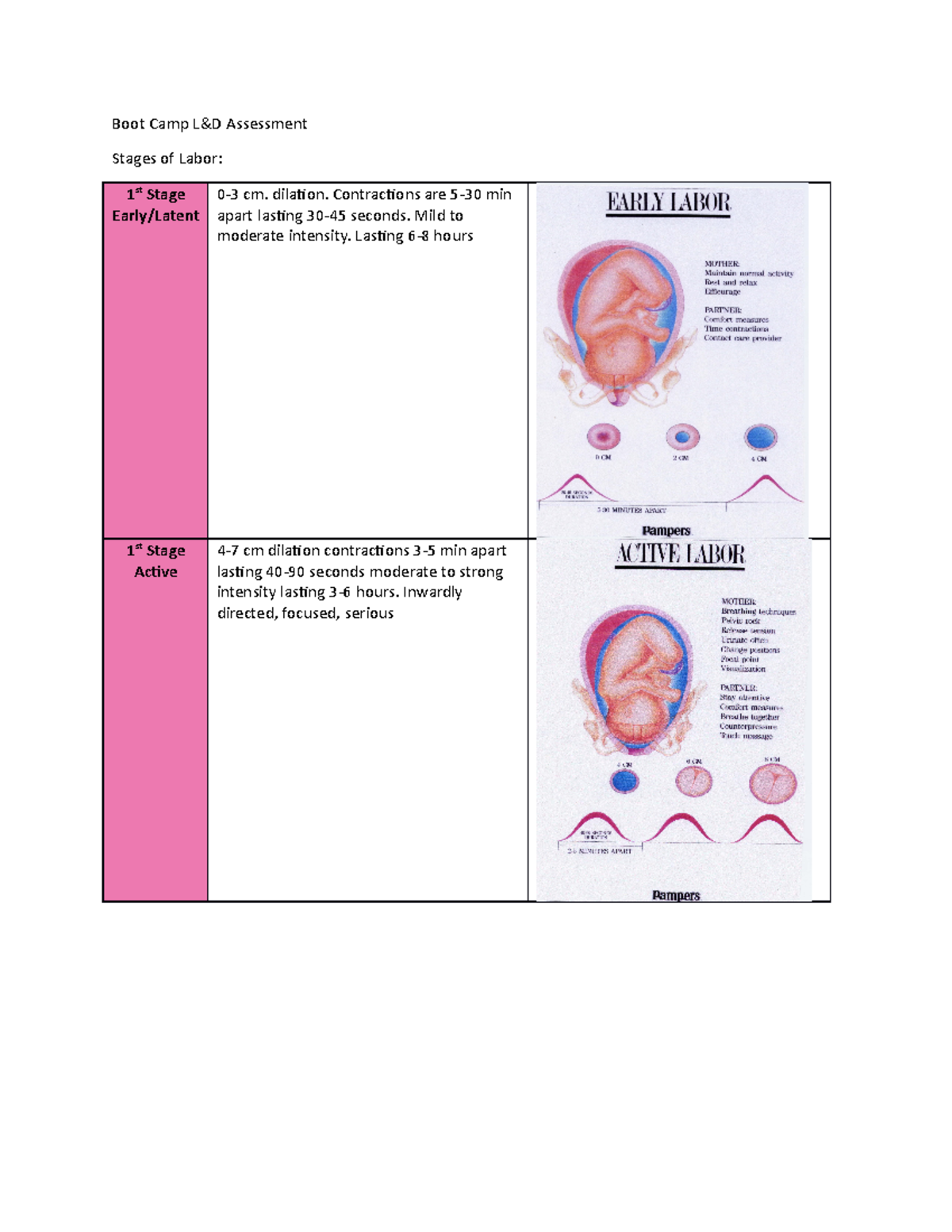 Bootcamp L&D Assessment.stu.pptx pp1 - Boot Camp L&D Assessment Stages ...