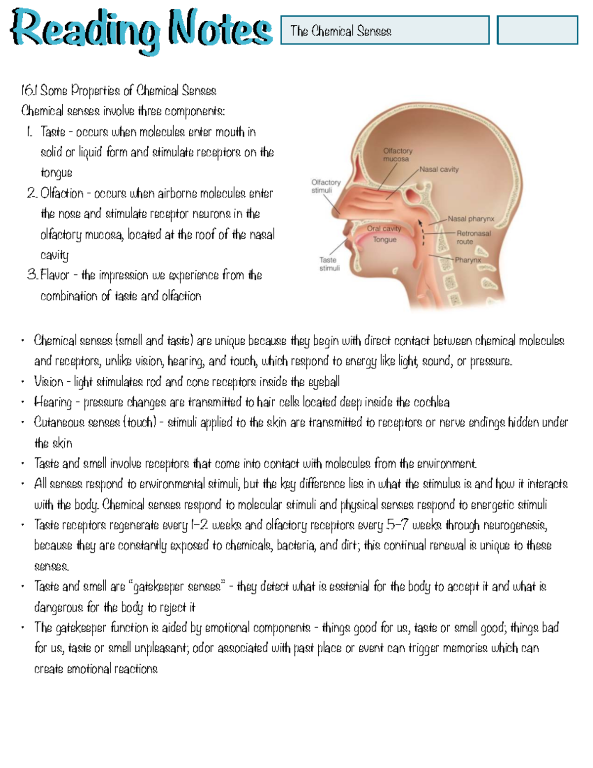 Understanding Flavor and Chemical Senses: Notes on Taste and Smell ...