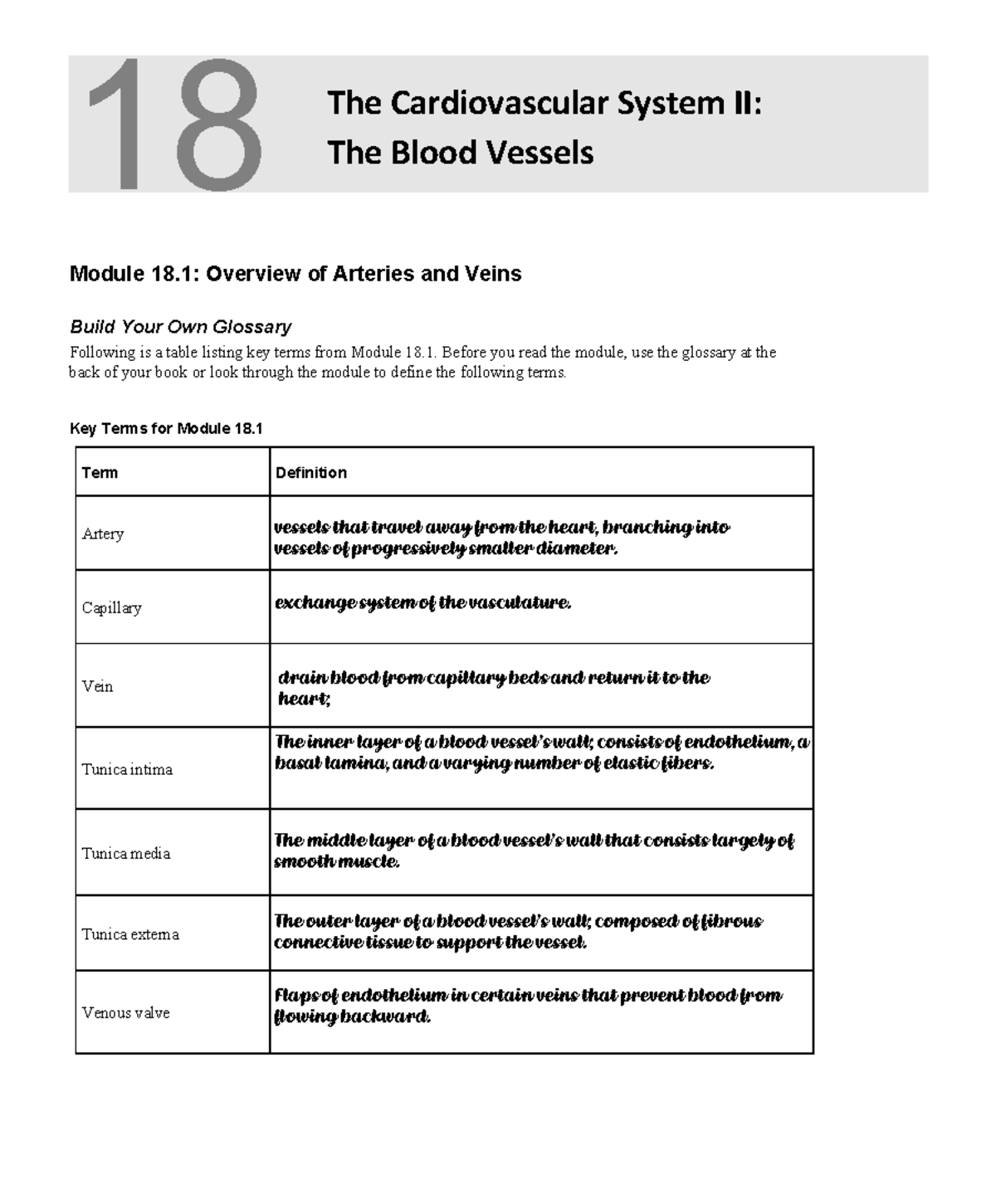 18 Cardiovascular System II: Blood Vessels Overview & Key Terms - Studocu